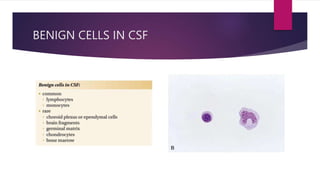 Untitled (16).pptx jehhe jshshs jejsj jej | PPT