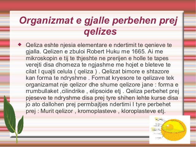 Mesimet ne Biologji pjesa e dyte