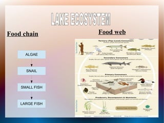 aquatic ecosystem | PDF