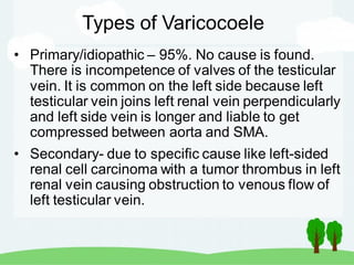 varicocoele and spermatocoele | PDF