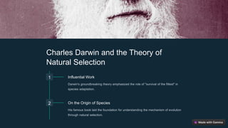 evolutionary theories of the evolutions | PPT
