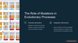 evolutionary theories of the evolutions | PPT