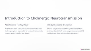 Cholinergic and anticholinergic Drugs : Mechanism and usage | PPTX