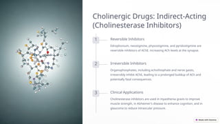Cholinergic and anticholinergic Drugs : Mechanism and usage | PPTX