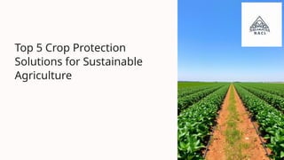 Effective Crop Protection Solutions by NACL | India | PPTX