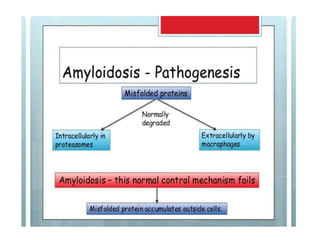 Untitled (24).pptx hshhs jsusus jsusj jje | PPT