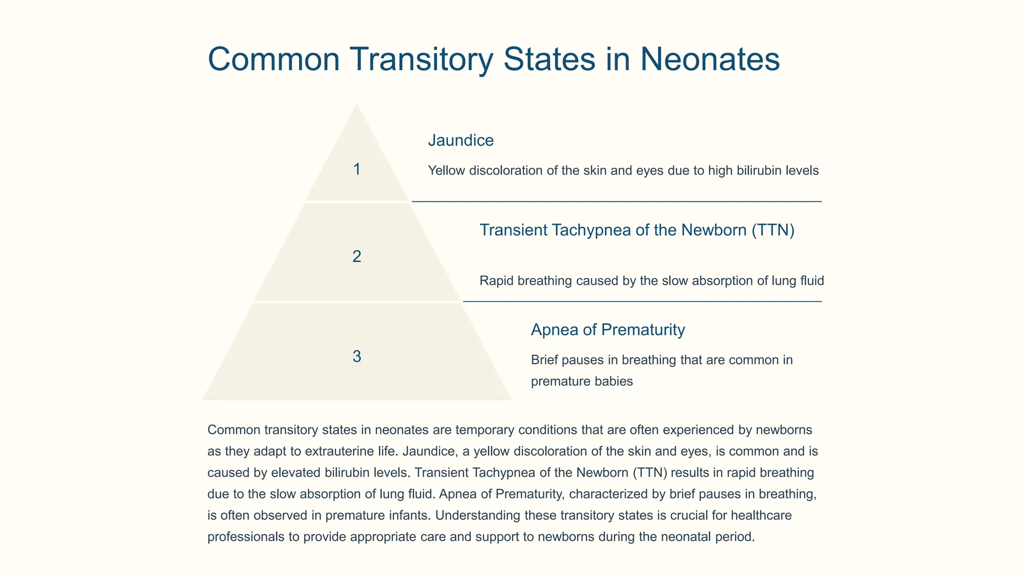 Neonatal physiology , respiratory adaptation in the neonate | PPTX