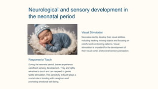 Neonatal physiology , respiratory adaptation in the neonate | PPTX
