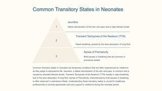 Neonatal physiology , respiratory adaptation in the neonate | PPTX
