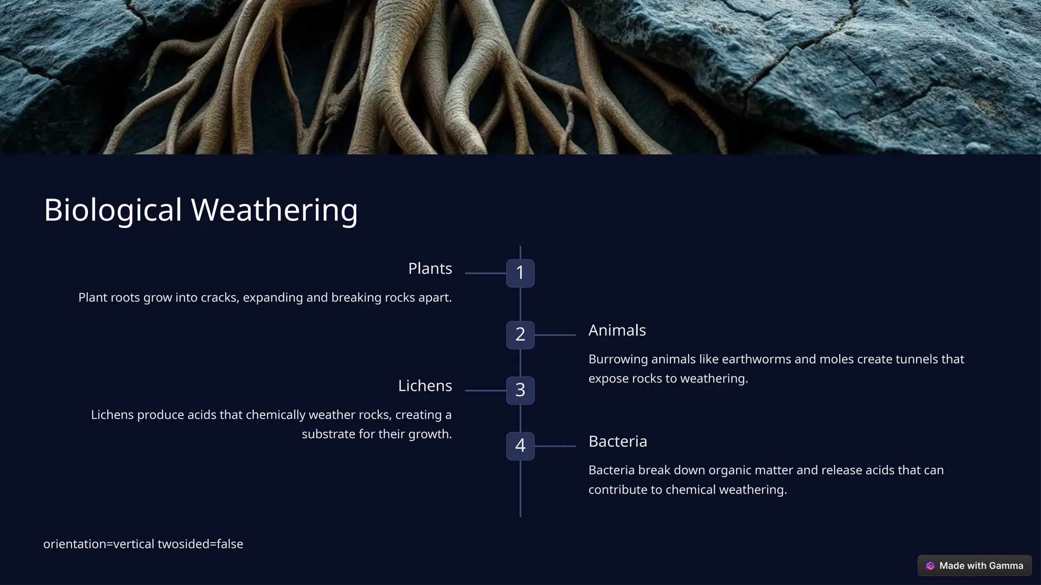Exogenic Process: How Weathering Shapes the Planet | PPT