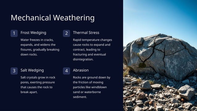 Exogenic Process: How Weathering Shapes the Planet | PPT