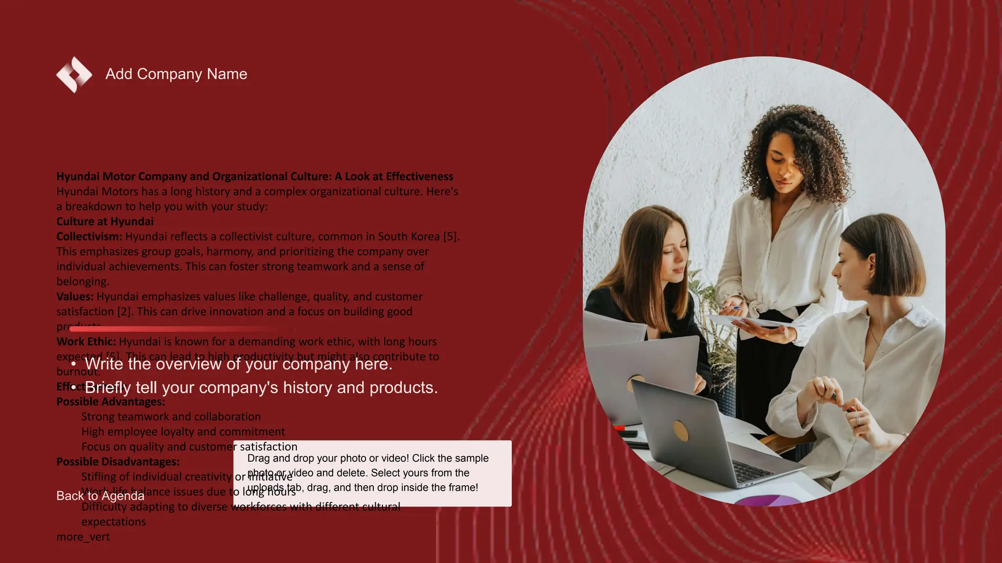 hyundai project report MBA second year.pptx