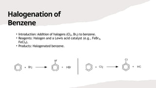 Exploring Electrophilic Aromatic Substitution: The Mechanisms Behind Halogenation and Nitration ...