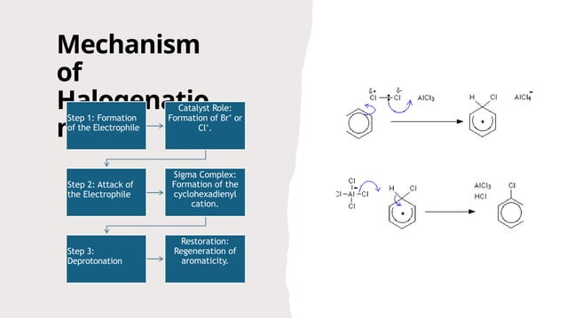 Exploring Electrophilic Aromatic Substitution: The Mechanisms Behind Halogenation and Nitration ...