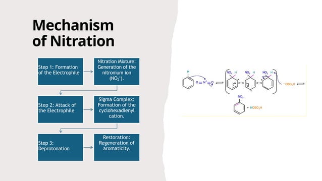 Exploring Electrophilic Aromatic Substitution: The Mechanisms Behind Halogenation and Nitration ...
