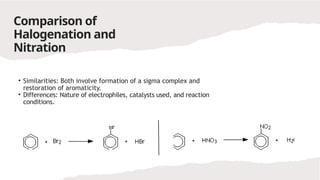 Exploring Electrophilic Aromatic Substitution: The Mechanisms Behind Halogenation and Nitration ...