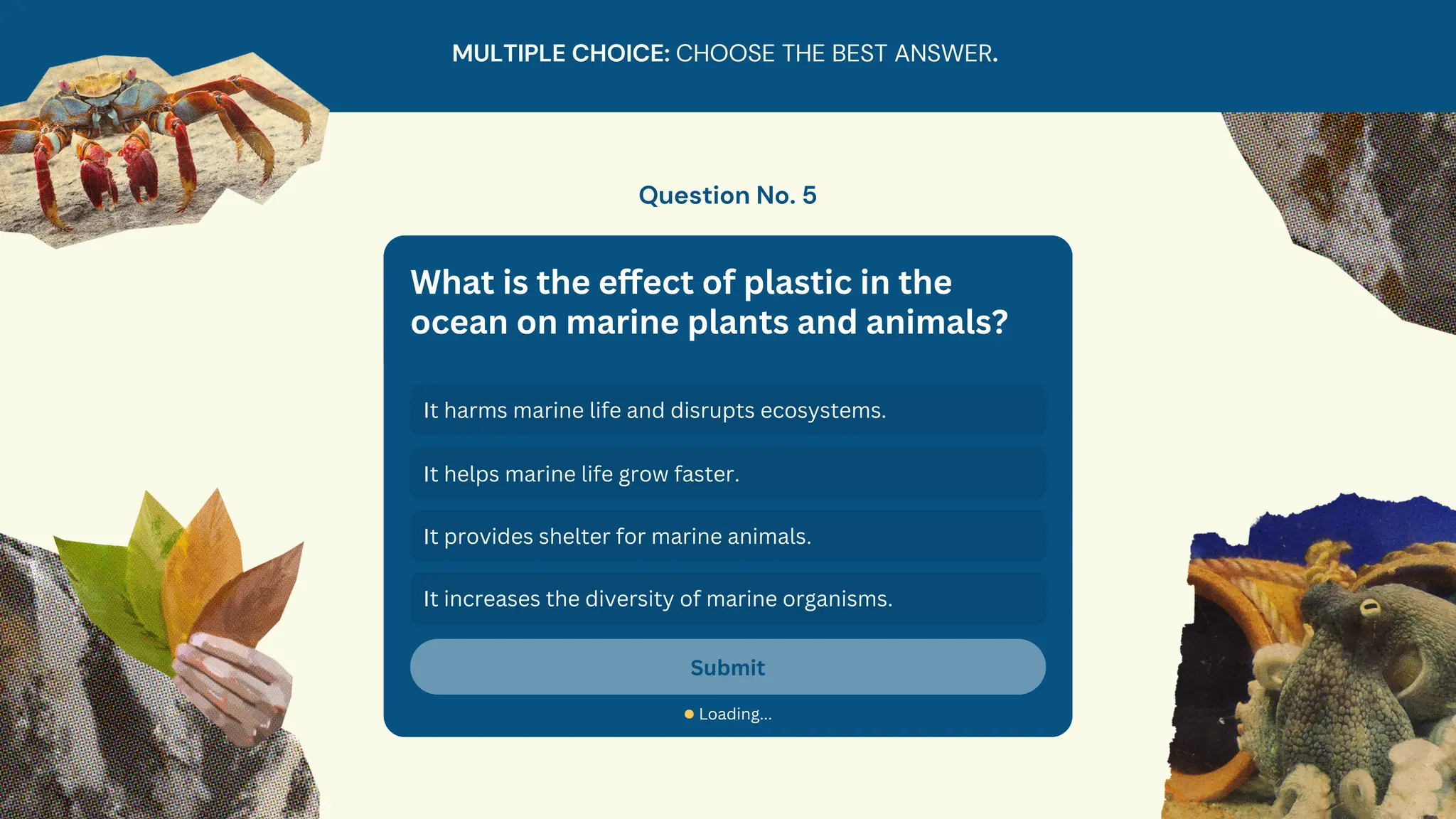 How Plastic Waste management solve environmental Issues | PDF
