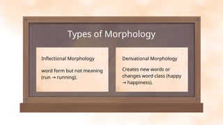 Morphology (General information about linguistic morphology).pptx
