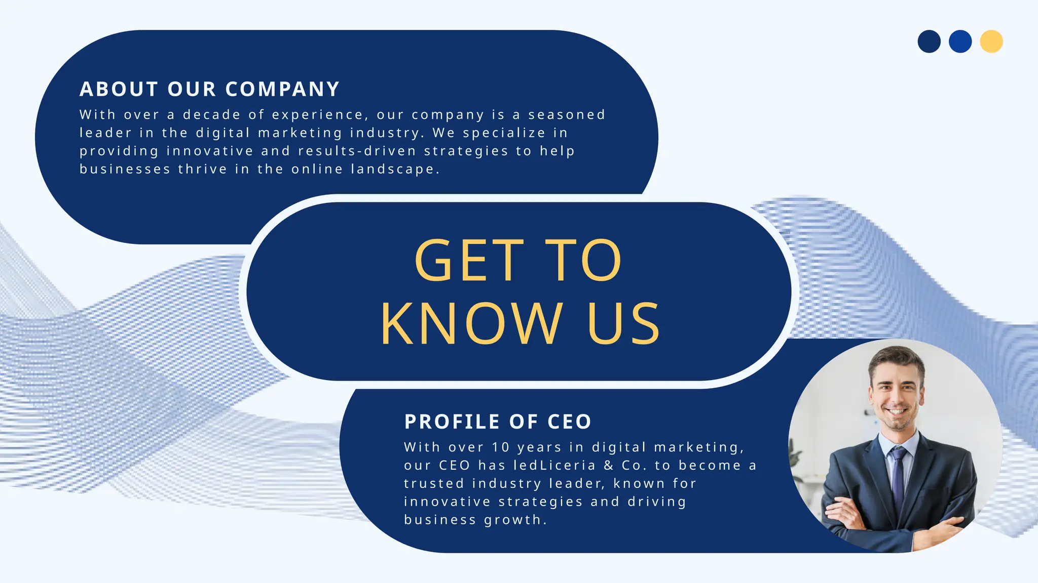 template PPT business operation management.pptx