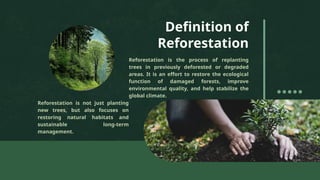 FOREST OF THE FUTURE-How restoration can change the world..pptx