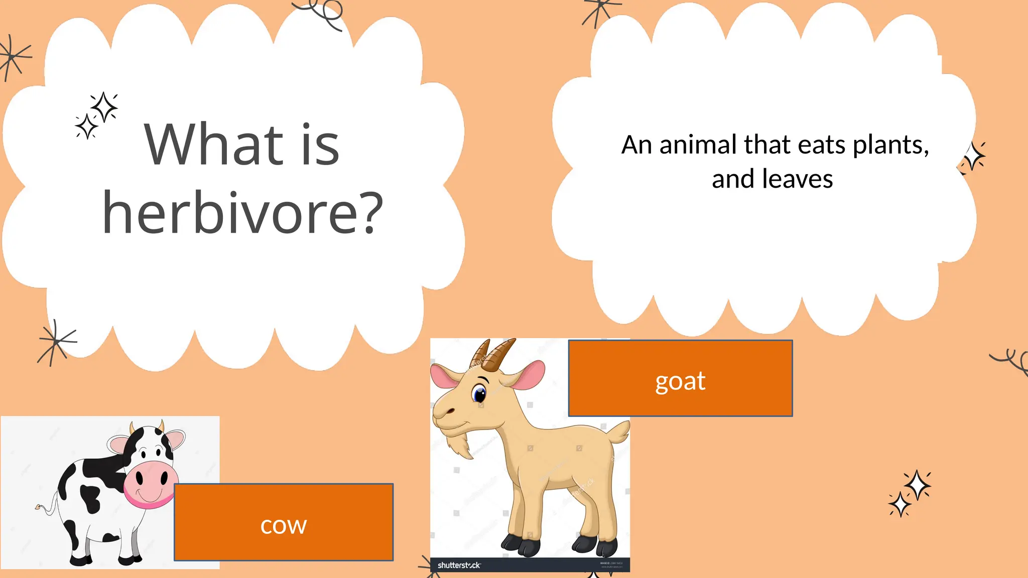 types of animals based on their food. such as herbivores, carnivores ...
