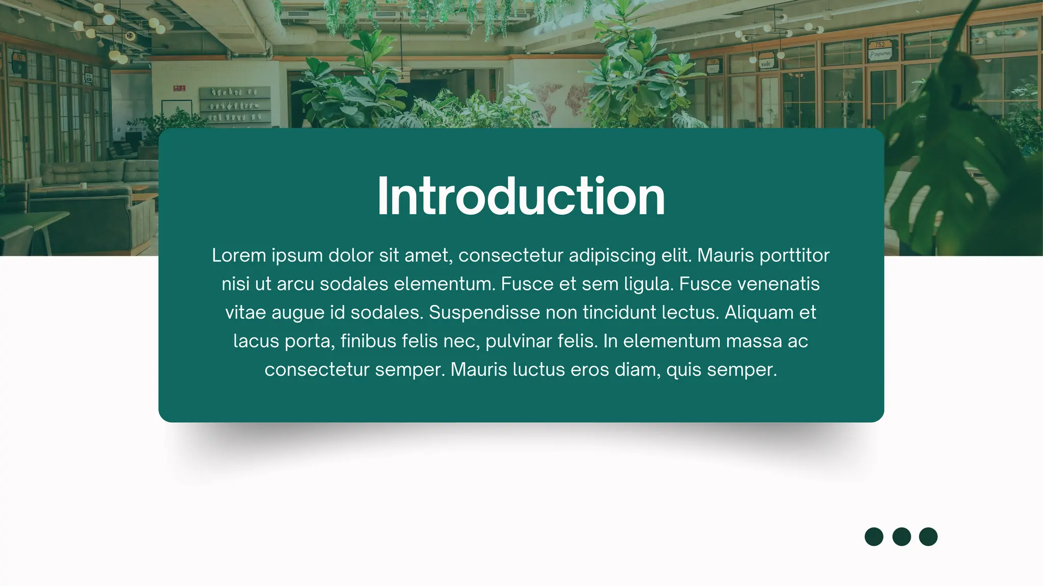 Business introduction. Reallygreatsite.com