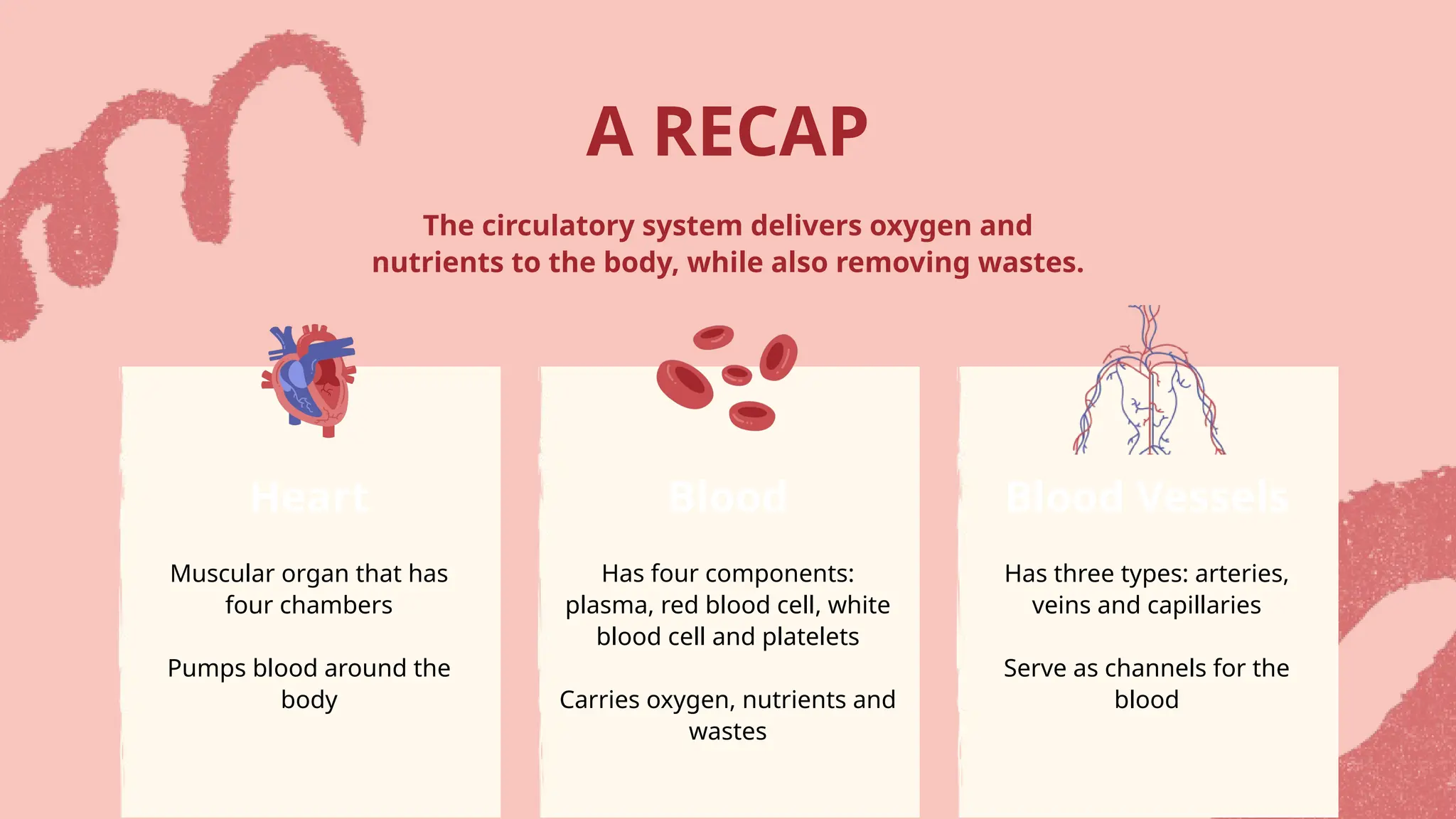 The Circulatory System-The role of the heart, blood and blood vessels .pptx