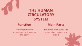 The Circulatory System-The role of the heart, blood and blood vessels .pptx