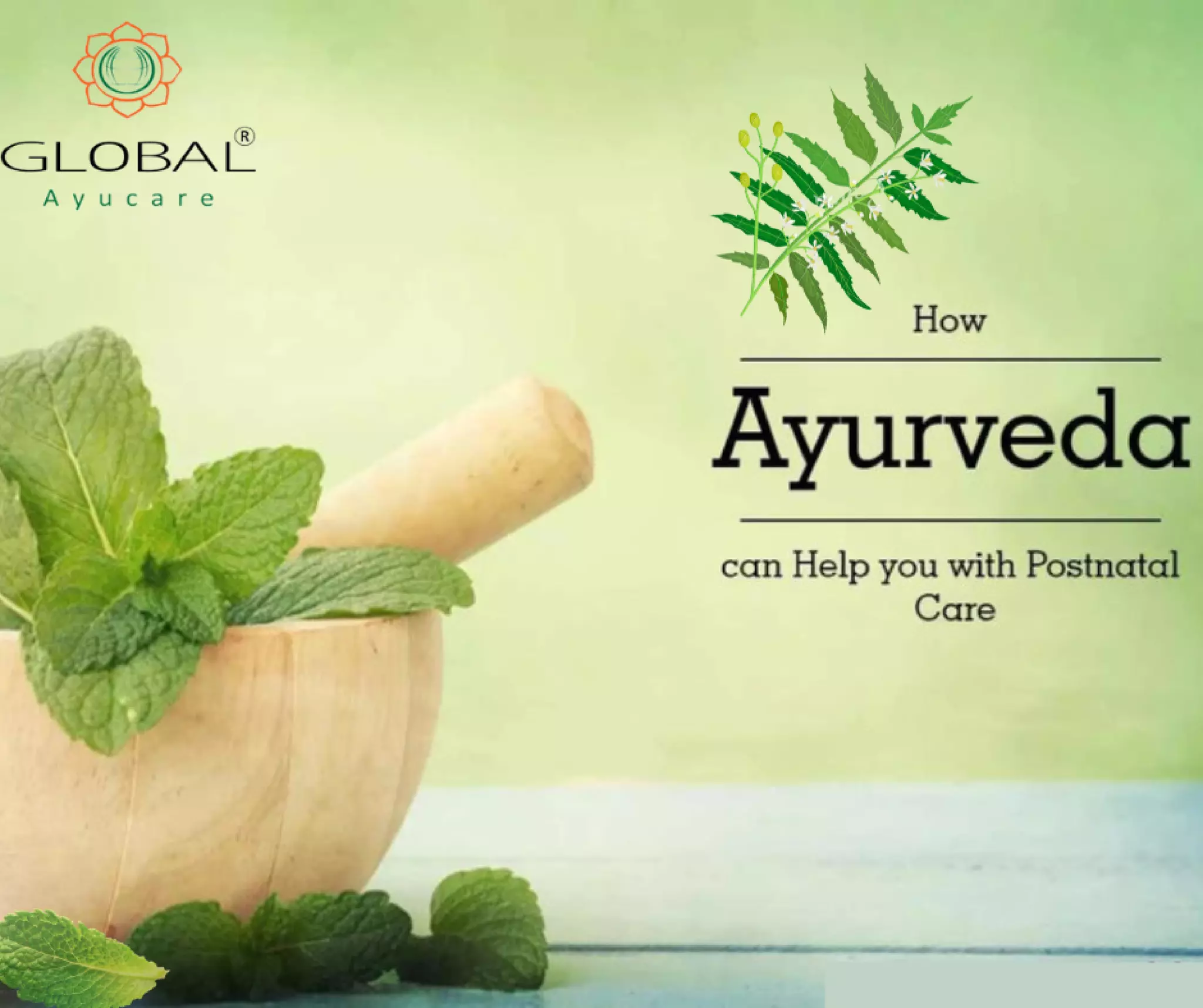 Ayurveda | PDF
