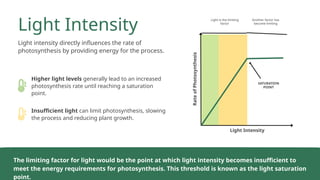 Photosynthesis is the process by which plants, algae, and some bacteria ...