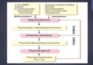 Thyroid stimulating hormone | PDF