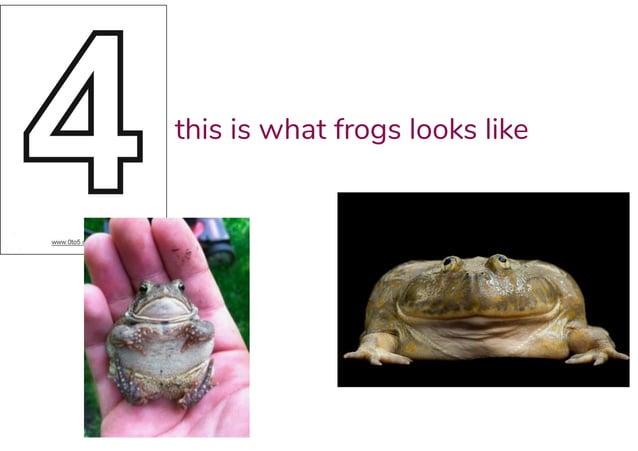 untitleddesign_original.pdffroggiesjulie | PPT