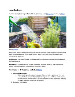 The Impact of Hydrozoning on Native Plants: Enhancing Local Ecosystems ...