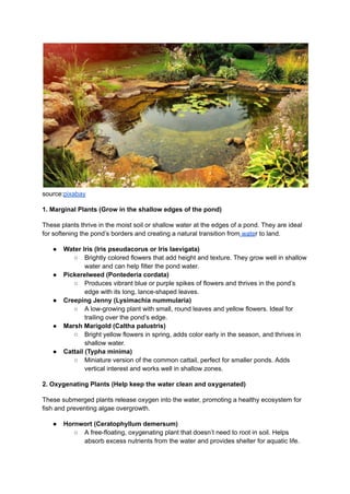 Easy and Creative DIY Pond Designs for Small Garden Spaces | PDF