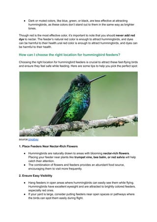 10 Tips to Attract Hummingbird Tiny Beauties to Your Feeders | PDF