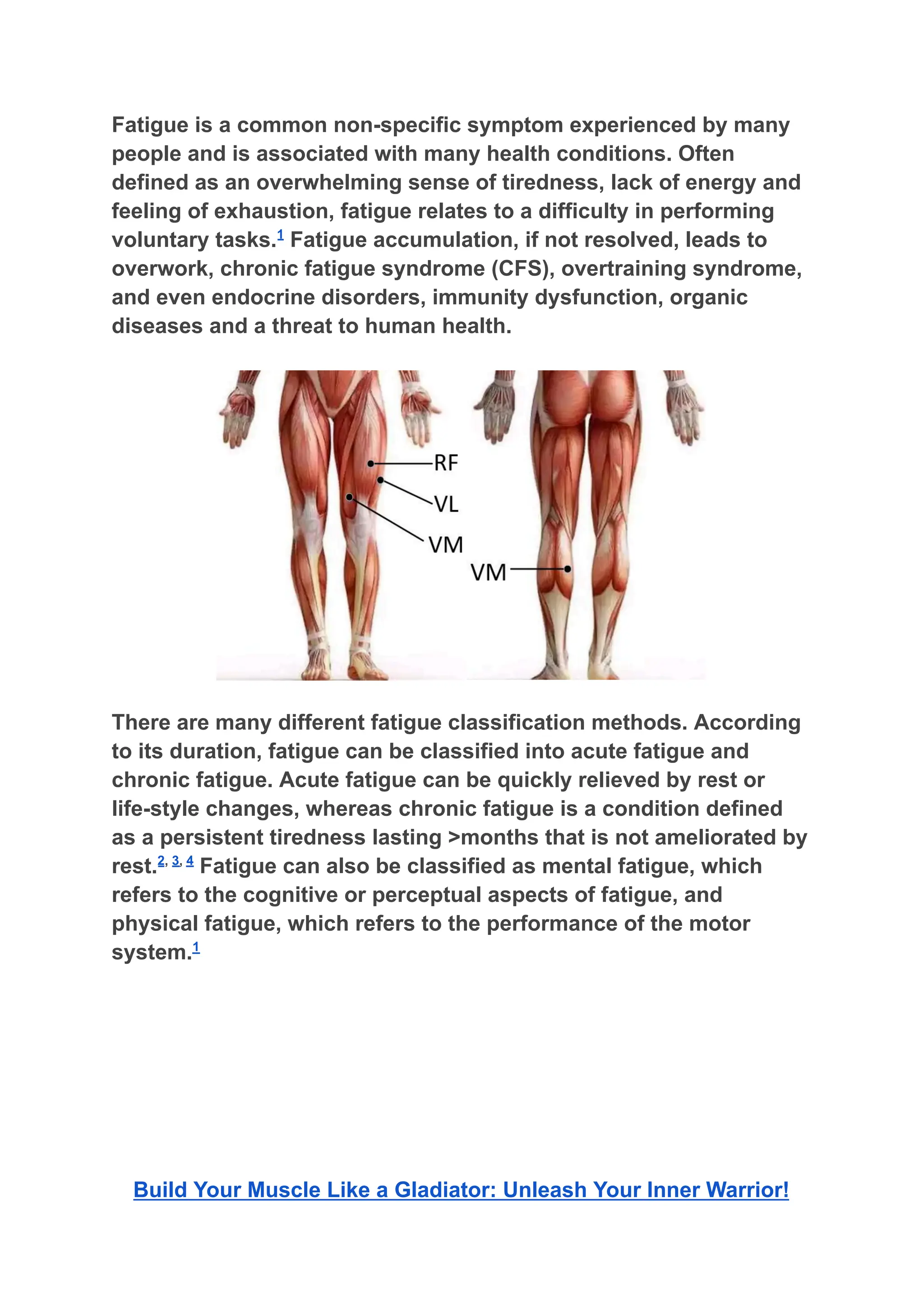 Muscle Fatigue,Tiredeness& Building Mass | PDF