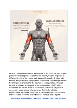 Muscle Fatigue,Tiredeness& Building Mass | PDF
