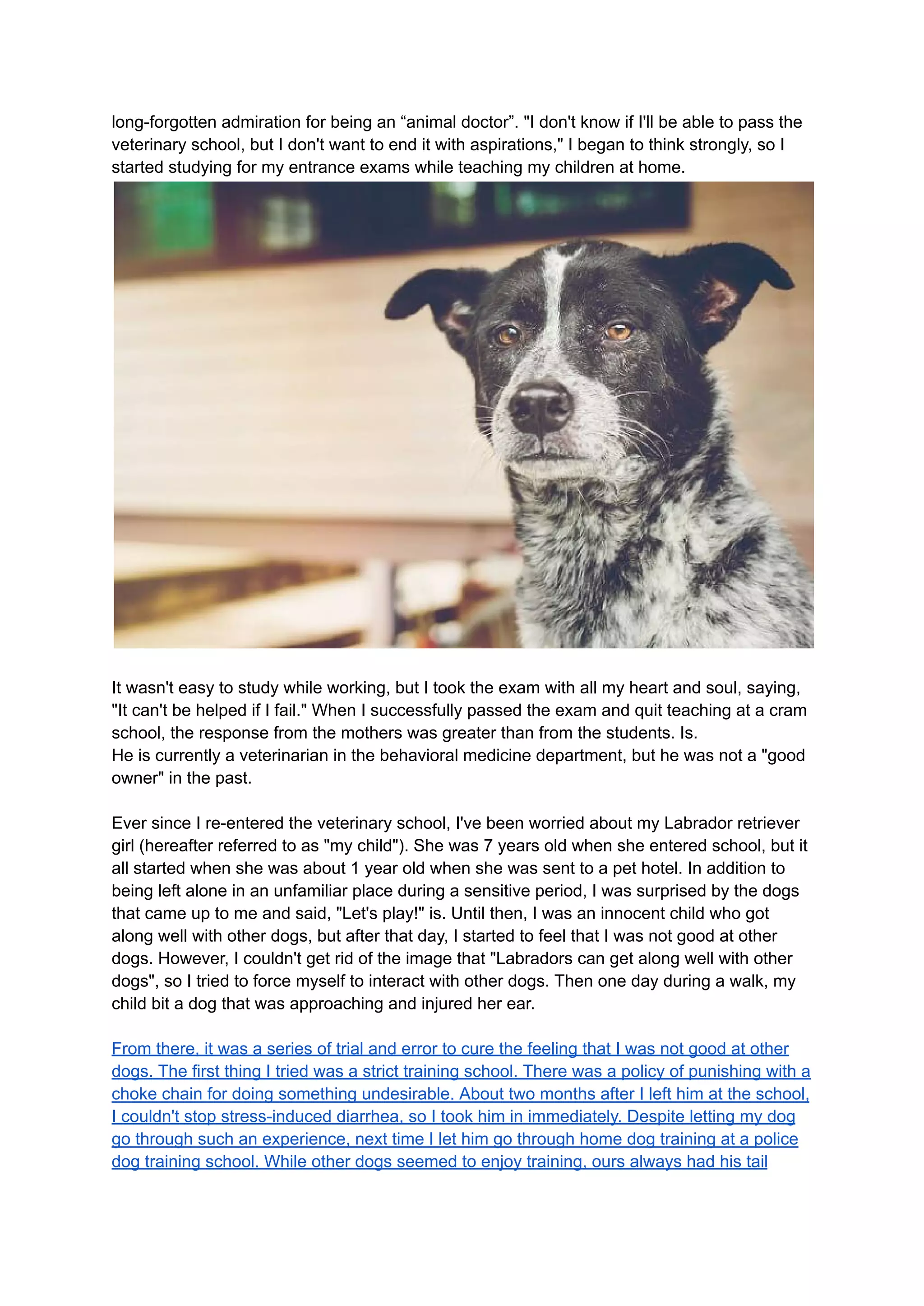 Why is a dog a man's best friend? | PDF