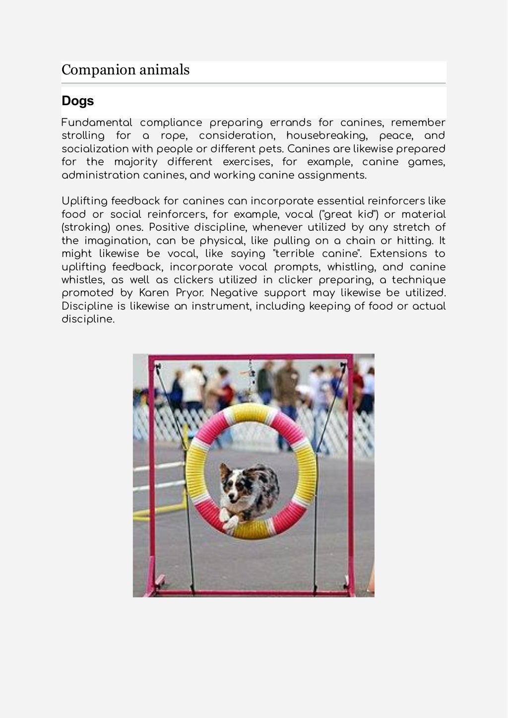 Animal Training Techniques | PDF