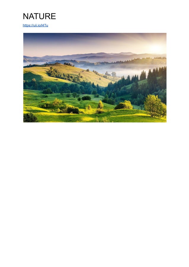 NATURE | PDF