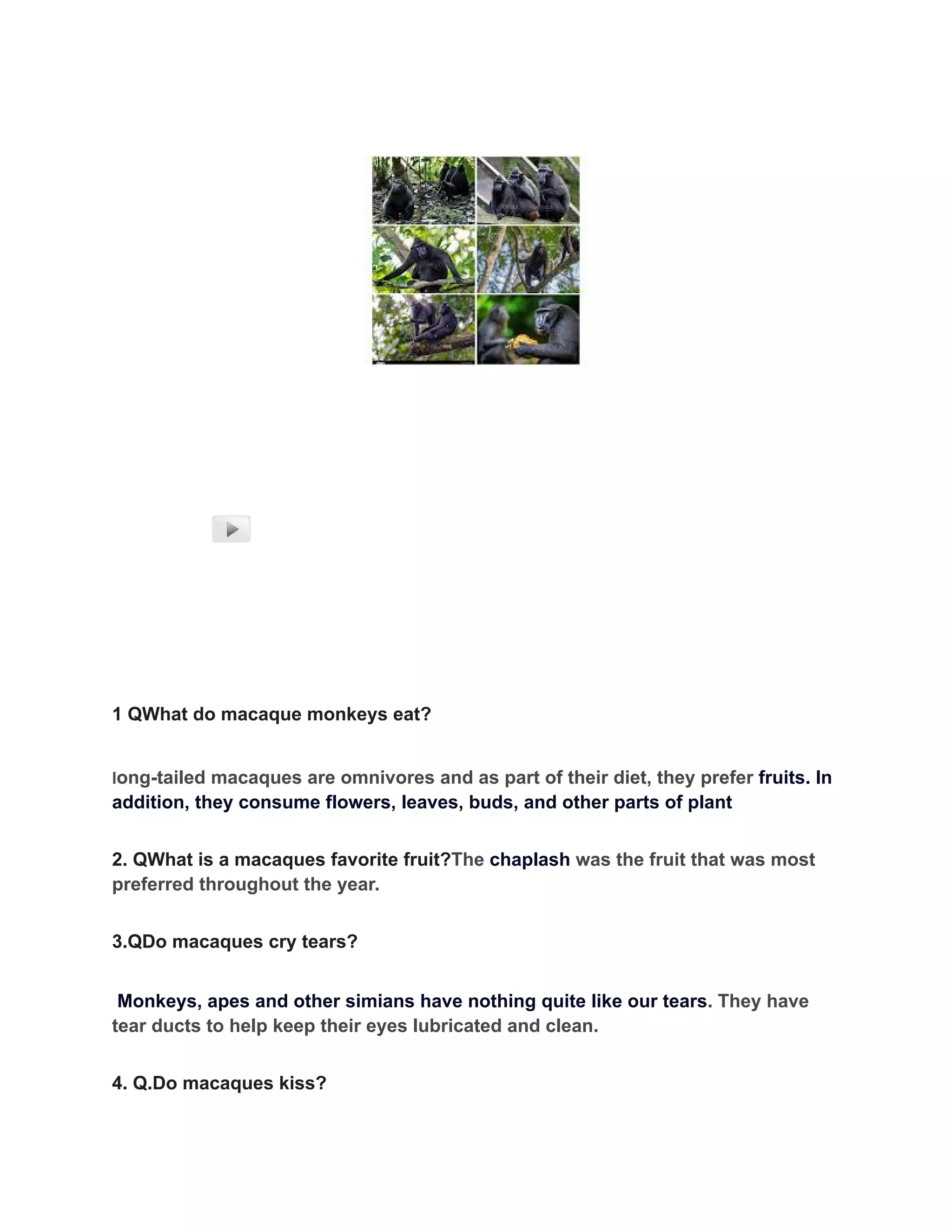 Untitled document.pdf