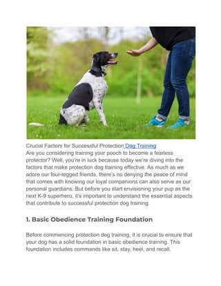 THE SECRETS BEHIND EFFECTIVE PROTECTION DOG TRAINING | PDF | Dogs | Pets