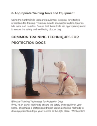 THE SECRETS BEHIND EFFECTIVE PROTECTION DOG TRAINING | PDF | Dogs | Pets