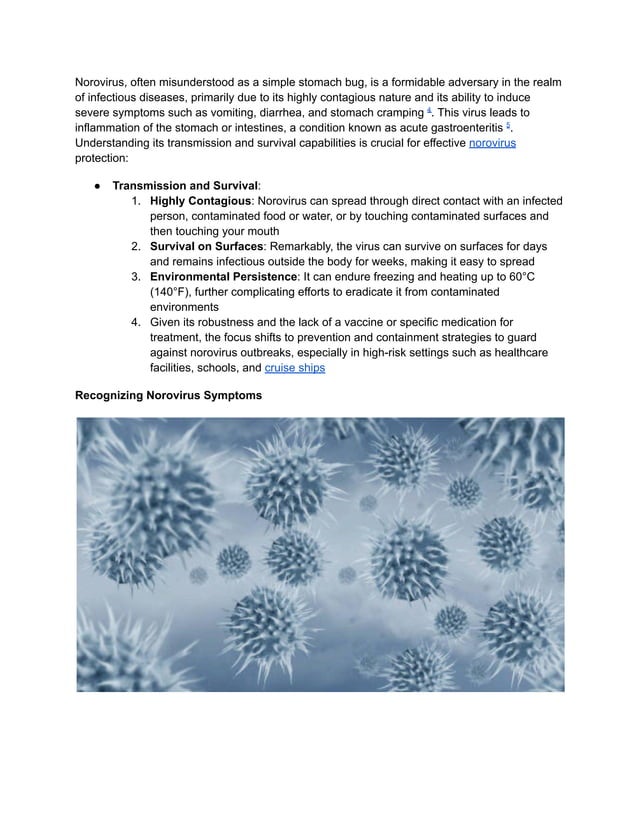 Norovirus Protection: Essential Tips for Guarding Against Norovirus | PDF