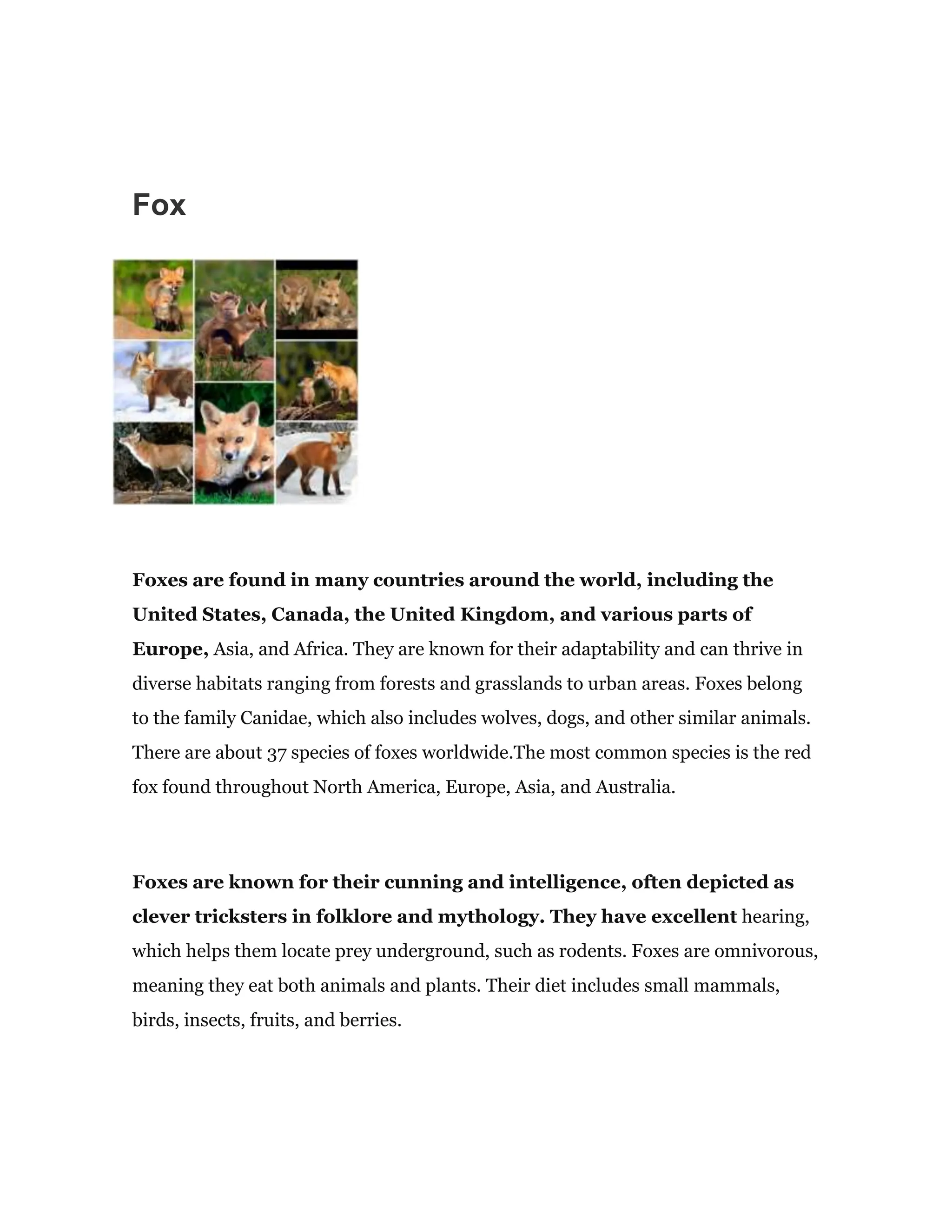 Fox Canidae, which also includes wolves, dogs | DOCX