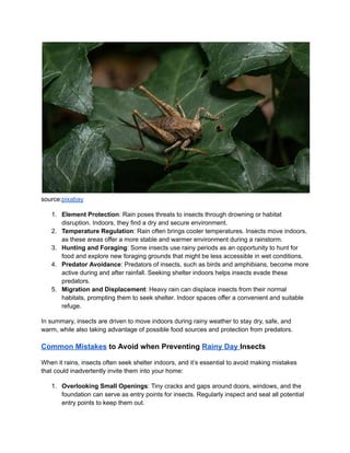 Smart Strategies to Avoid Insects During Rainy Days and Nights | PDF