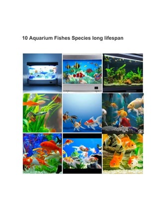 Aquarium Fishes Species known for their long lifespans | DOCX