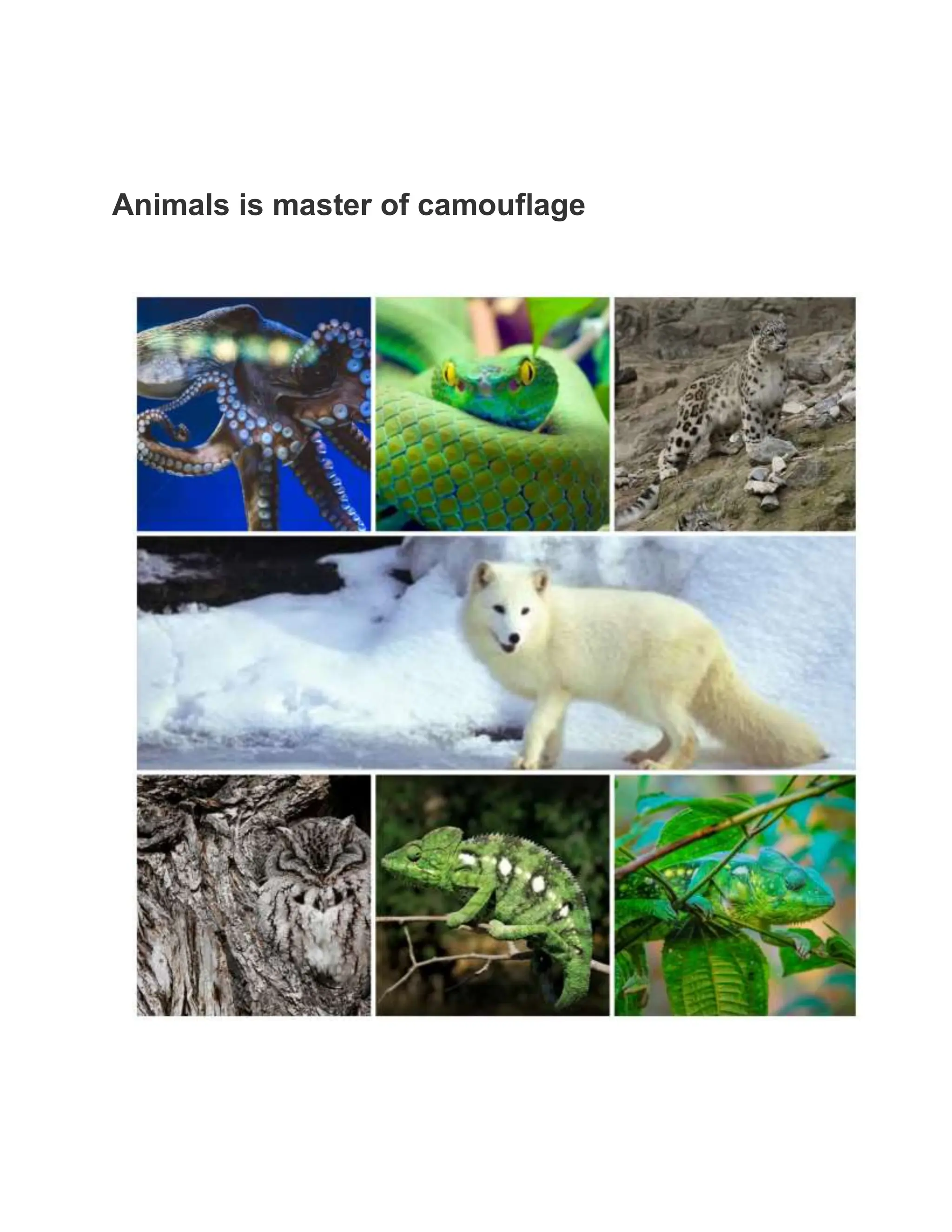 Animals is master of camouflage ability to blend | PDF
