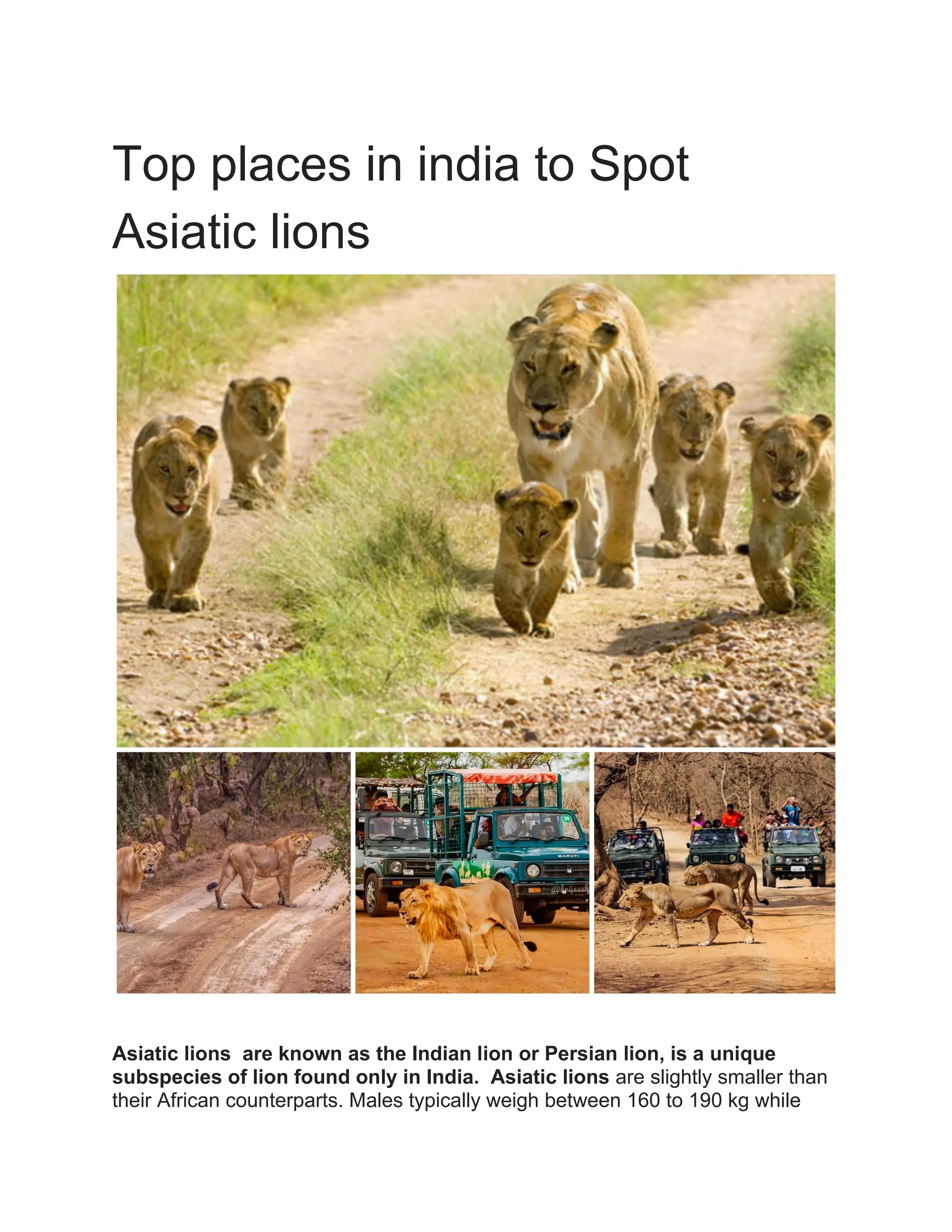 Top places Asiatic lions are spot in india | PDF