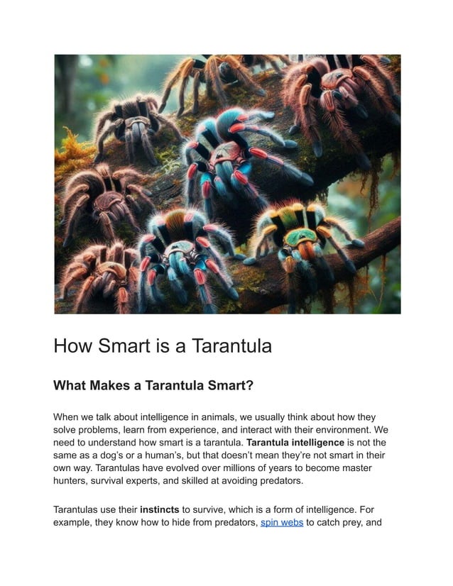 How Smart is a Tarantula? Discover 7 Surprising Facts | PDF